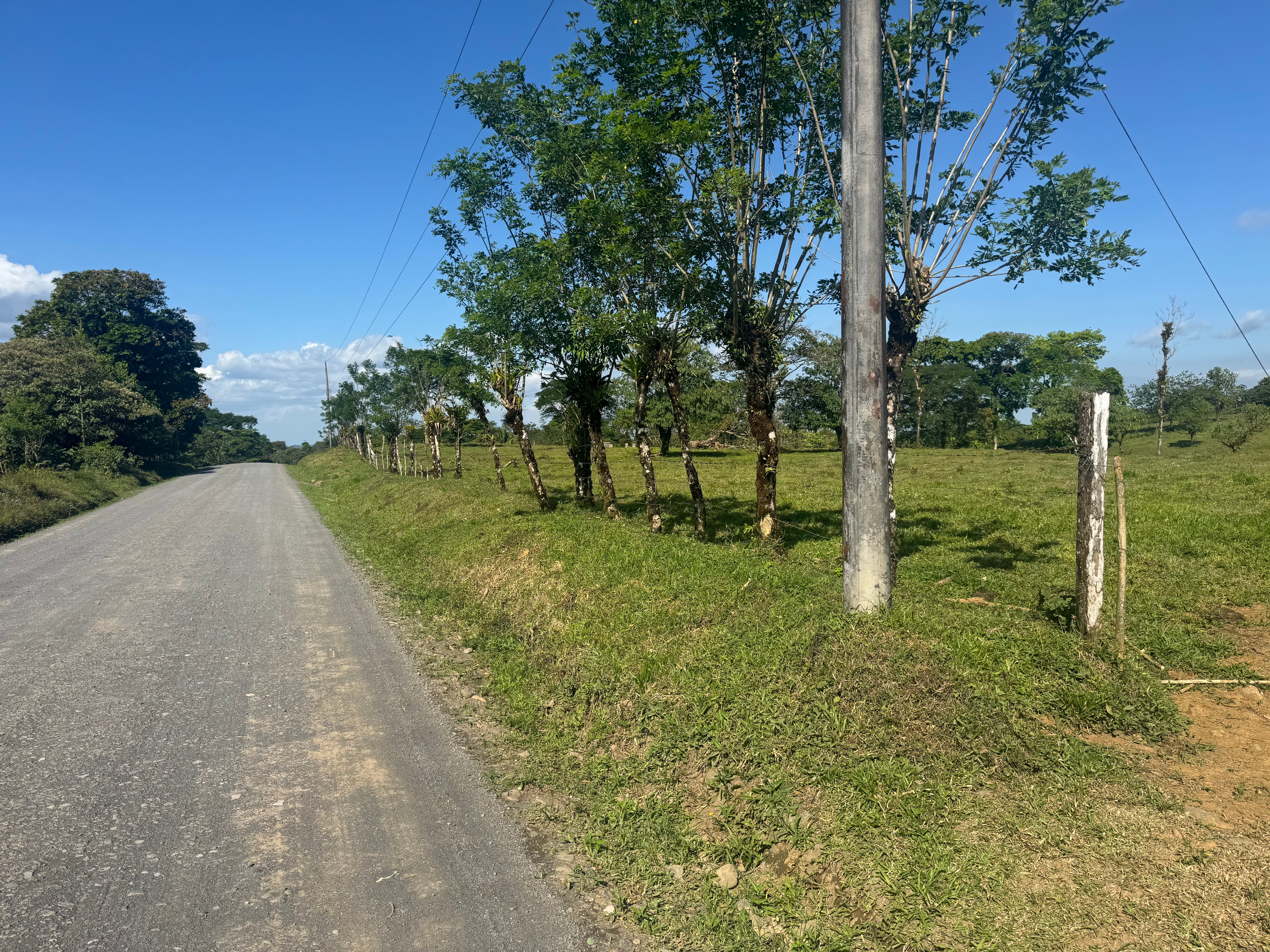 Finca Alajuela Upala 8106-1